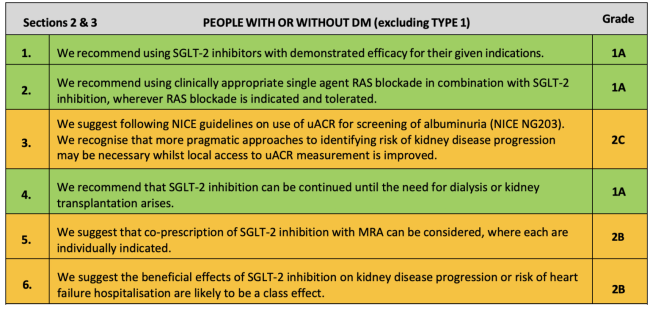 The UK eCKD Guide | UK Kidney Association